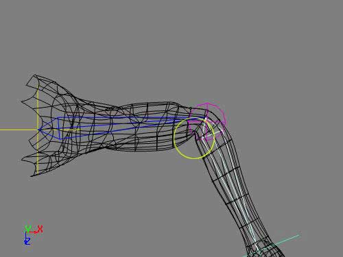 Basic Weight Painting